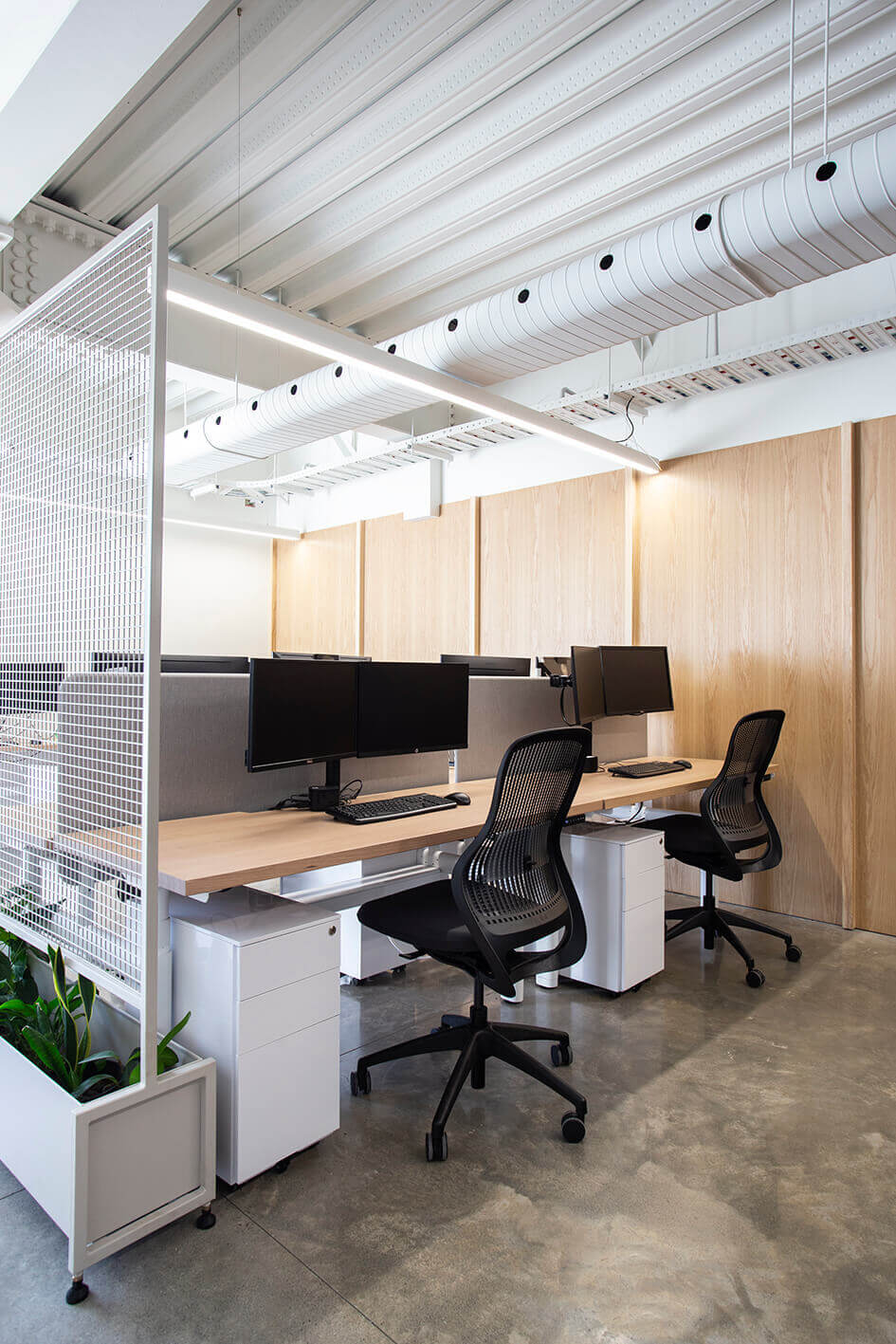 Stark Property’s Hills Commercial Fitout - CEMAC INTERIORS